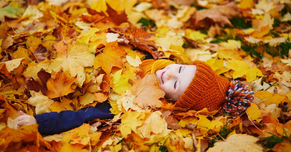 Pourquoi les feuilles jaunissent-elles en automne
