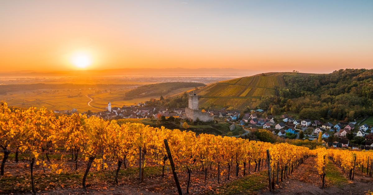Accord trouvé entre la Collectivité européenne d'Alsace et les ...