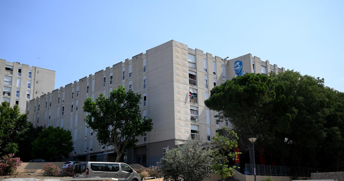 Marseille : qui était «Nono», le baron de la drogue abattu en pleine ...