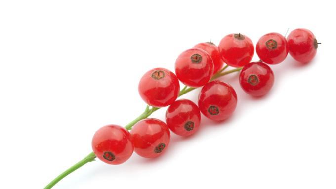 Groseille : composition nutritionnelle et bienfaits
