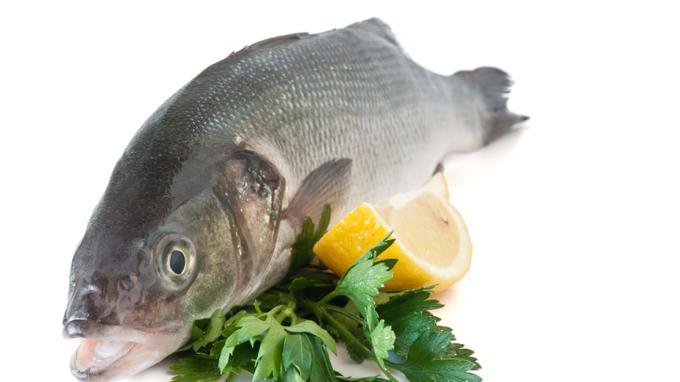 Le bar : quelles valeurs nutritionnelles pour ce poisson