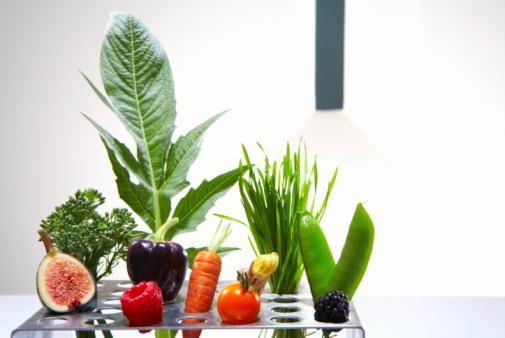 OGM : la définition et les informations essentielles