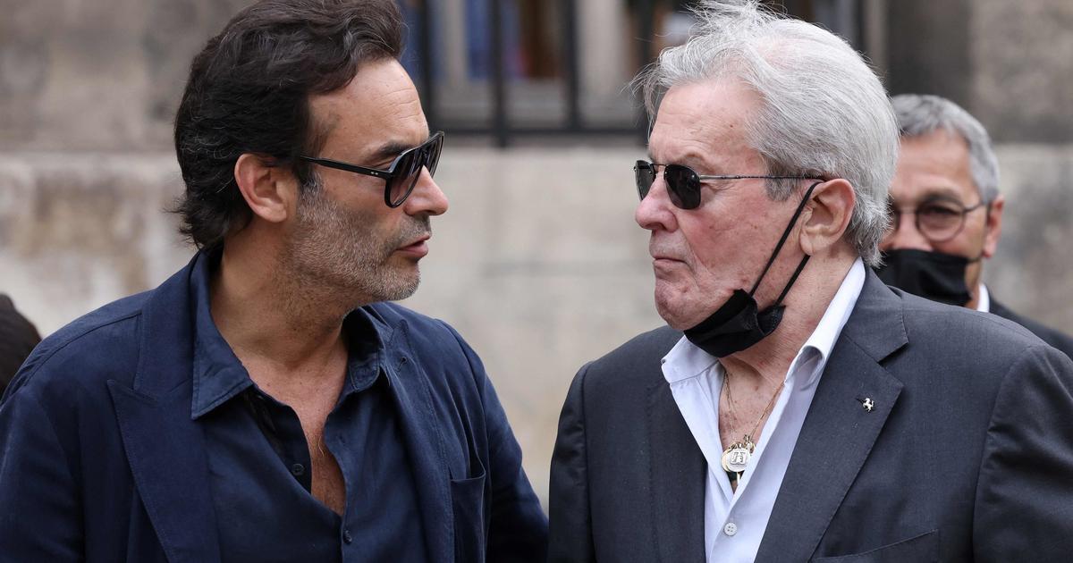 Affaire Alain Delon : «Sa vie est en danger», affirme Hiromi Rollin