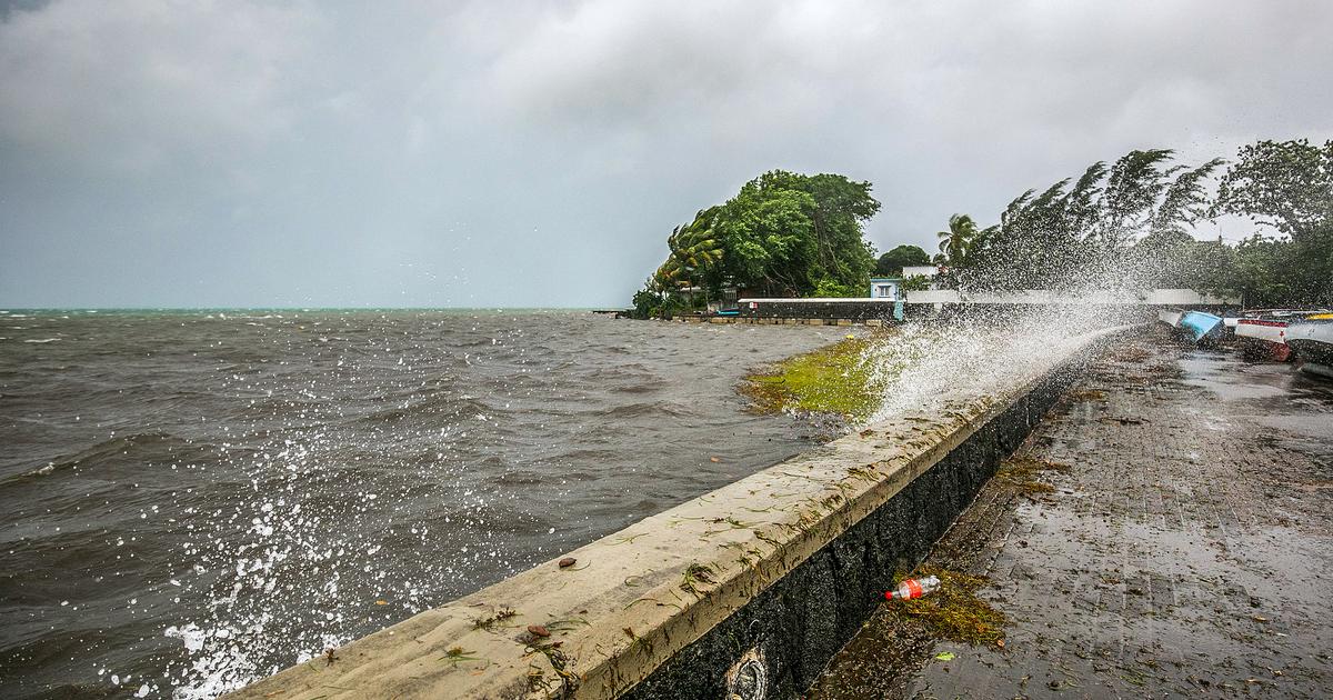 «Ça va repartir très vite» : à l’Île Maurice, le désastre Belal n’a pas ...