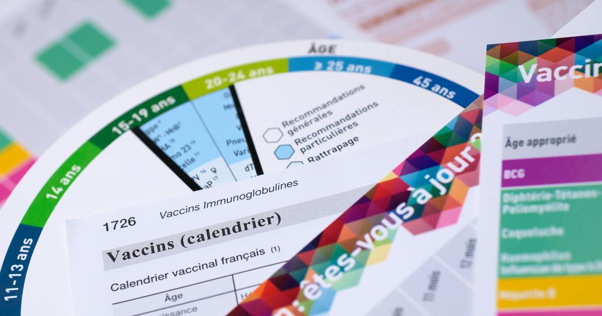 Calendrier vaccinal : informations et recommandations