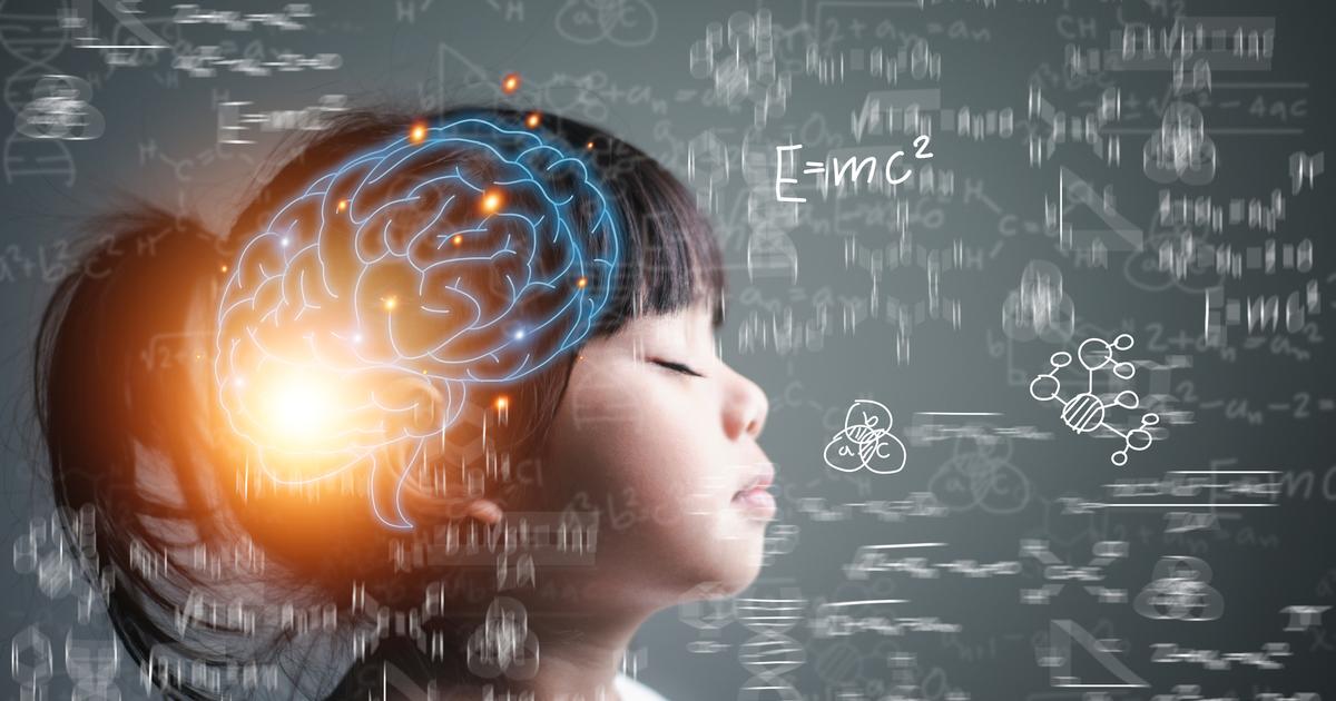 Grande-Bretagne : un enfant de 12 ans possède un QI supérieur à Albert ...