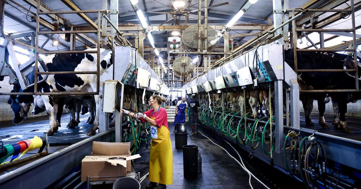 Lait : les producteurs ne veulent pas que le «prix plancher» de Macron ...