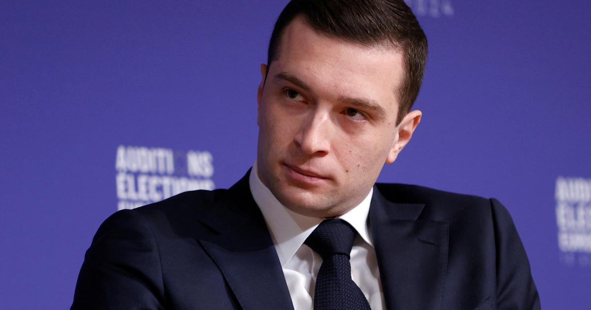 Européennes : en cas de victoire, Jordan Bardella demandera «la ...