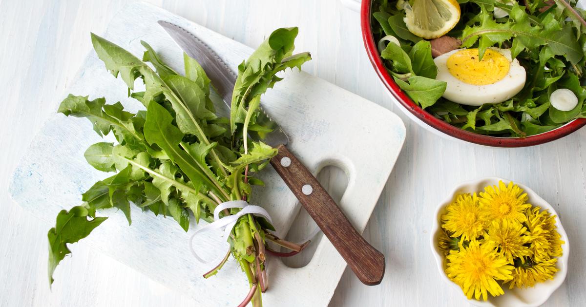 Tips and Tricks for Picking and Cooking Dandelions Without Stinging ...