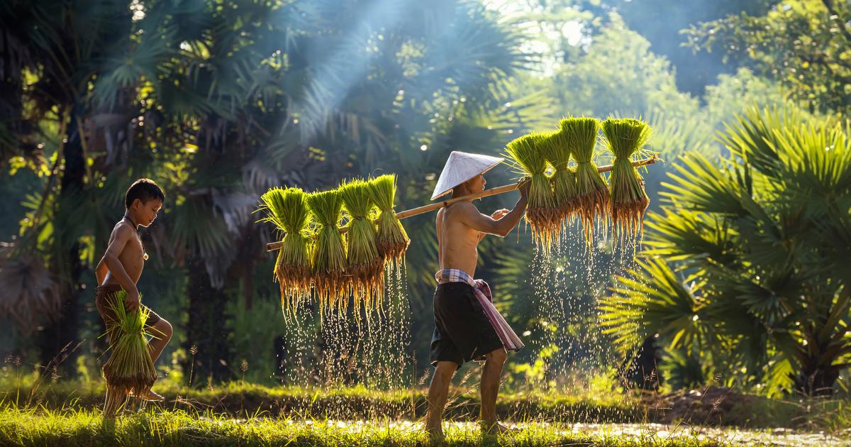 Voyage au Laos : nos circuits, hôtels et séjours sur mesure