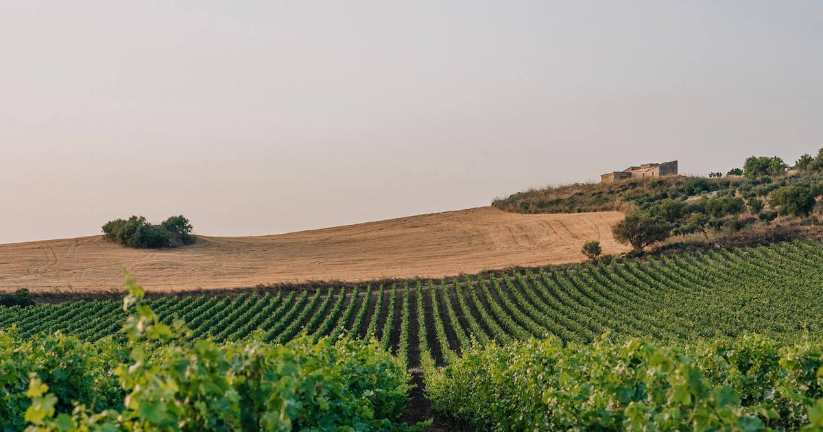 Serra Ferdinandea : l'histoire d'une famille française qui a créé un ...