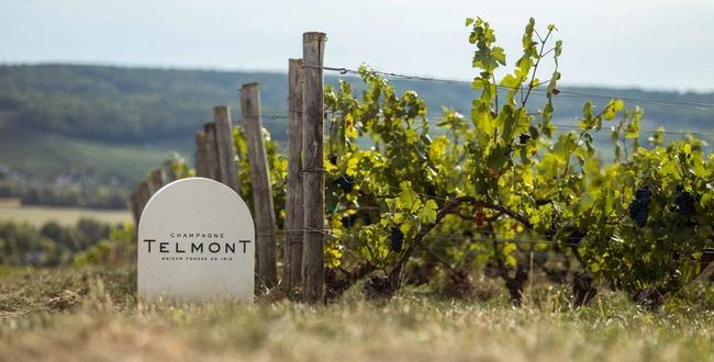 Telmont dévoile sa nouvelle cuvée en faveur du développement durable