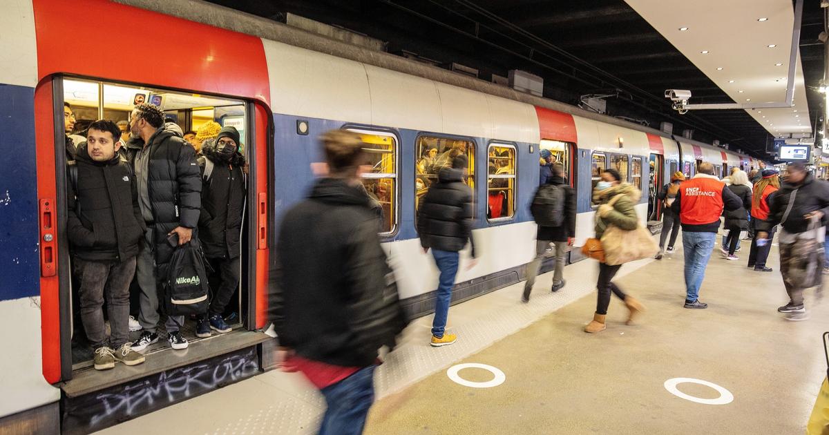 Femme poussée sur les rails du RER B: le suspect placé en détention provisoire