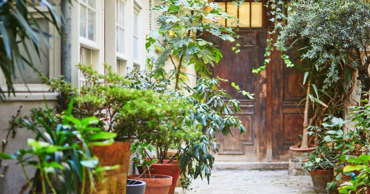 Cour d'immeuble : quelles sont les règles