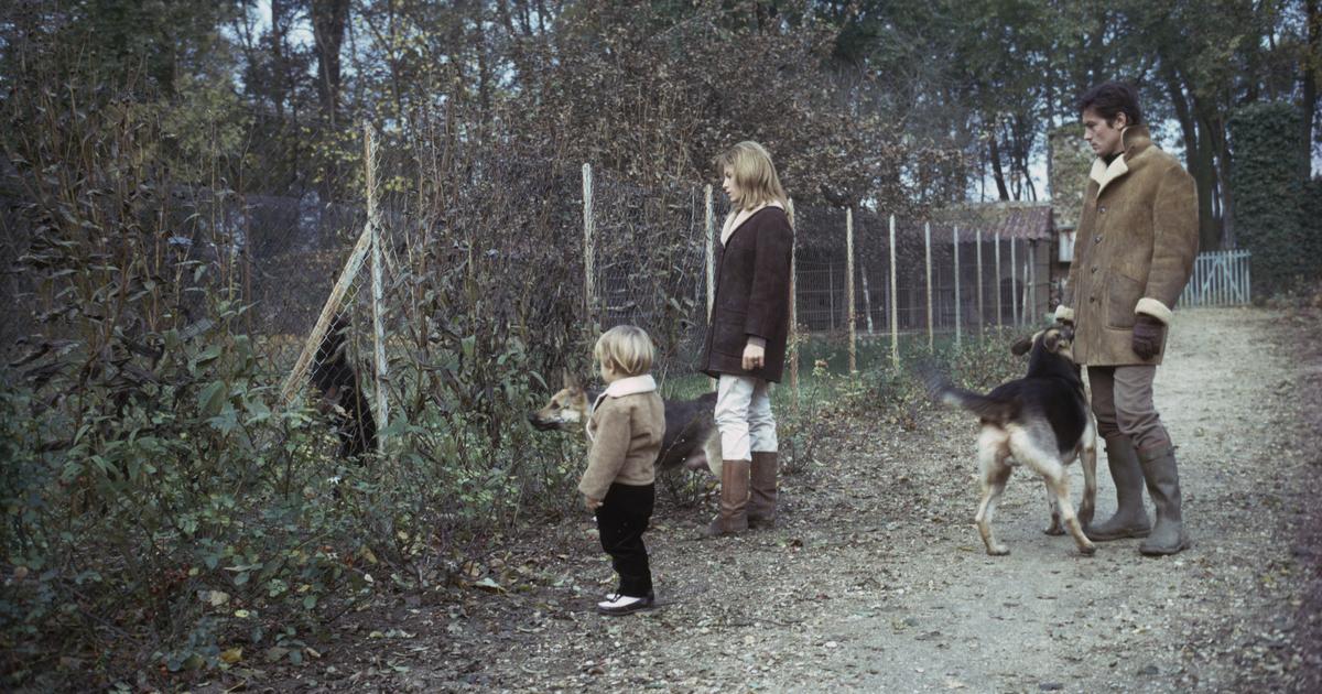 Alain Delon et sa passion pour les chiens