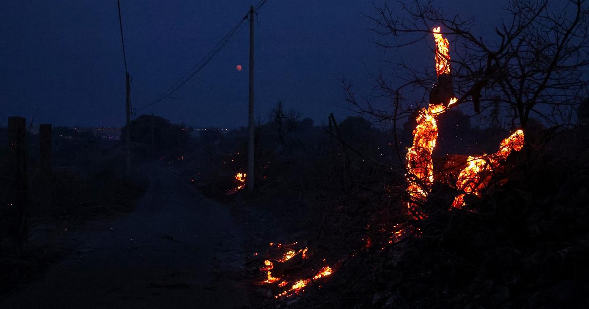 Hérault : l'incendie de Frontignan «fixé» après avoir ravagé 350 ...