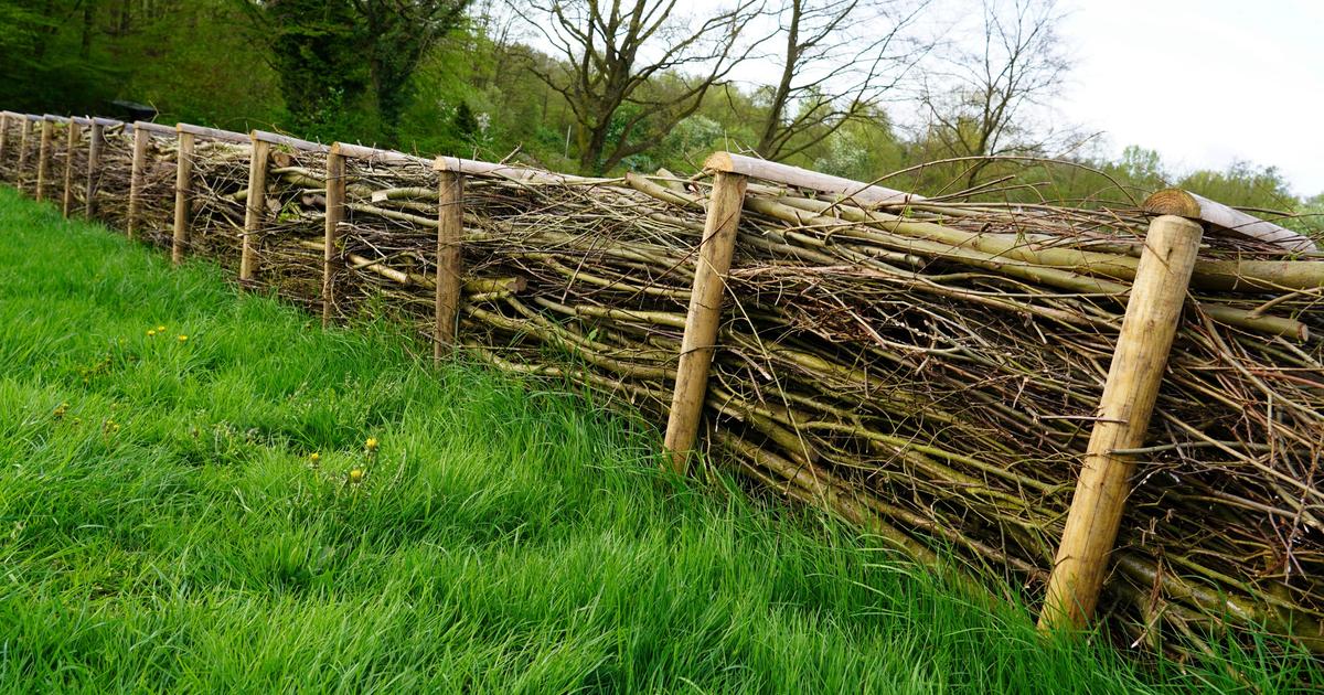 Comment créer une haie sèche ou haie de Benjes