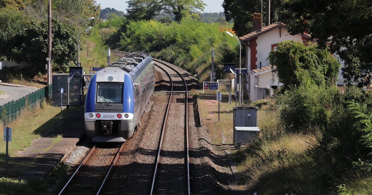 Loire-Atlantique : une femme meurt heurtée par un train en tentant de traverser les voies