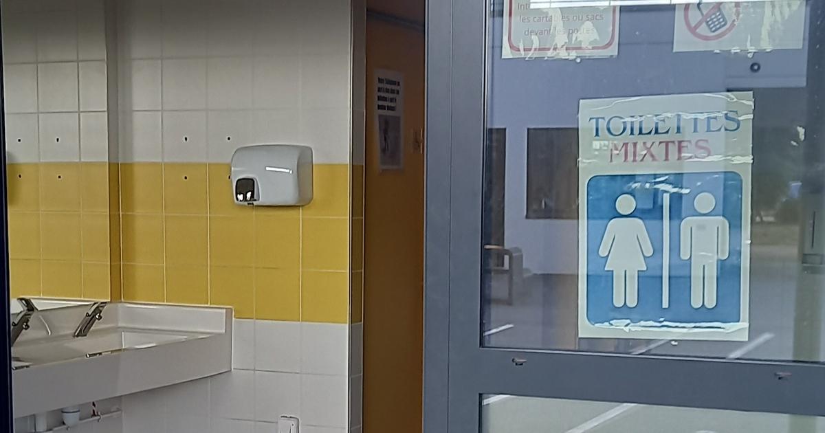Près de Nantes, un collège rural expérimente les toilettes mixtes ...