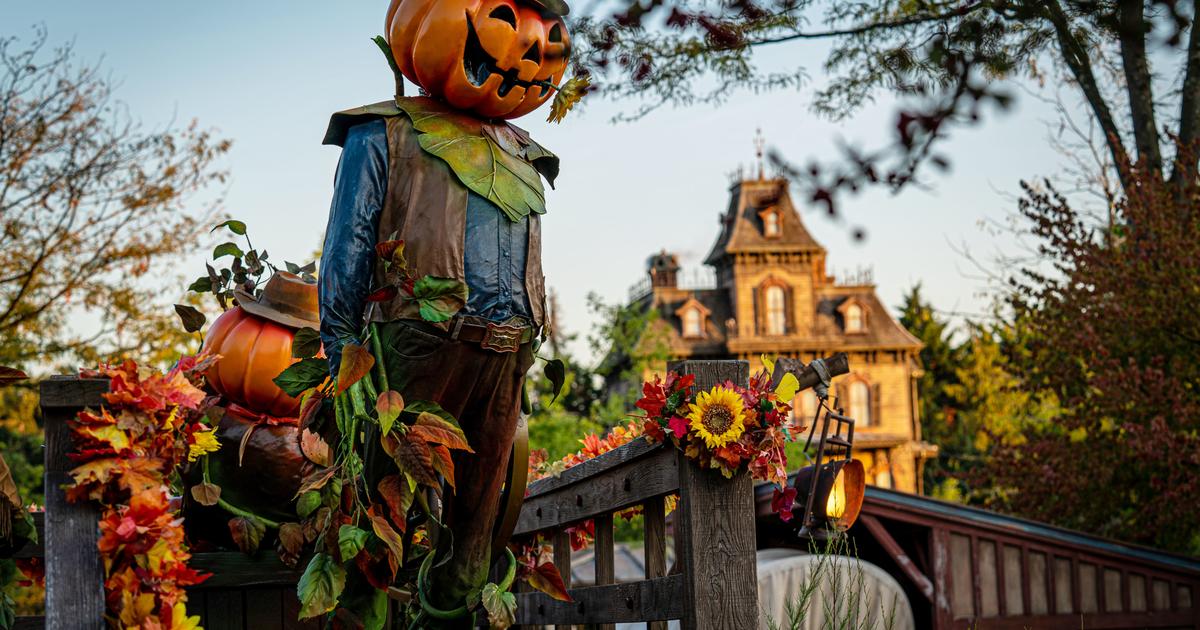 Parcs d'attractions, zoos, fermes : les plus beaux endroits où fêter ...