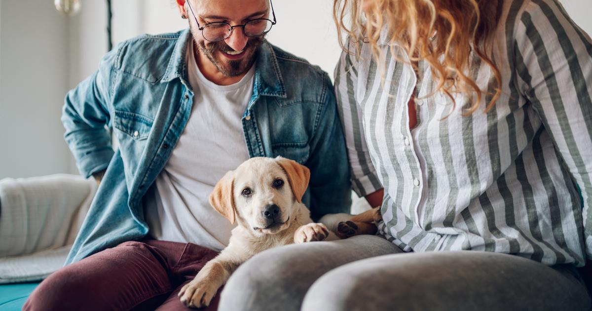 Noms en A : comment appeler son chien en 2025