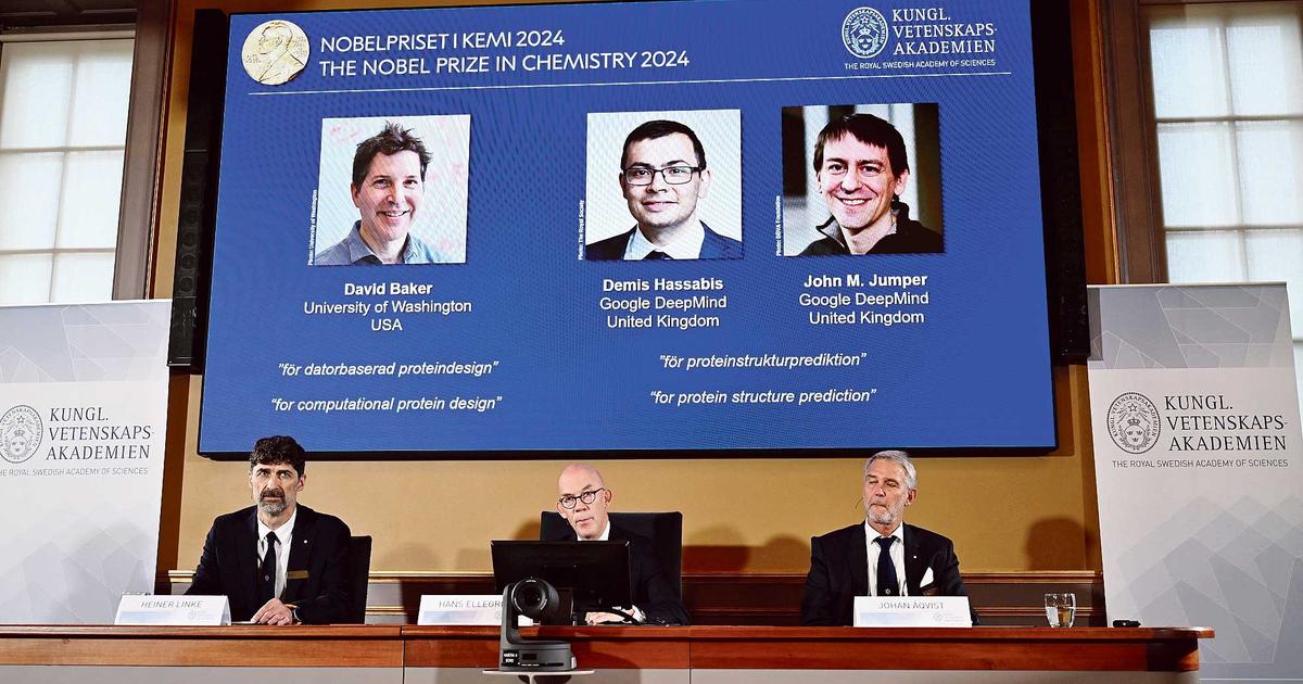 Le prix Nobel de chimie 2024 consacre la révolution de l’IA en biologie