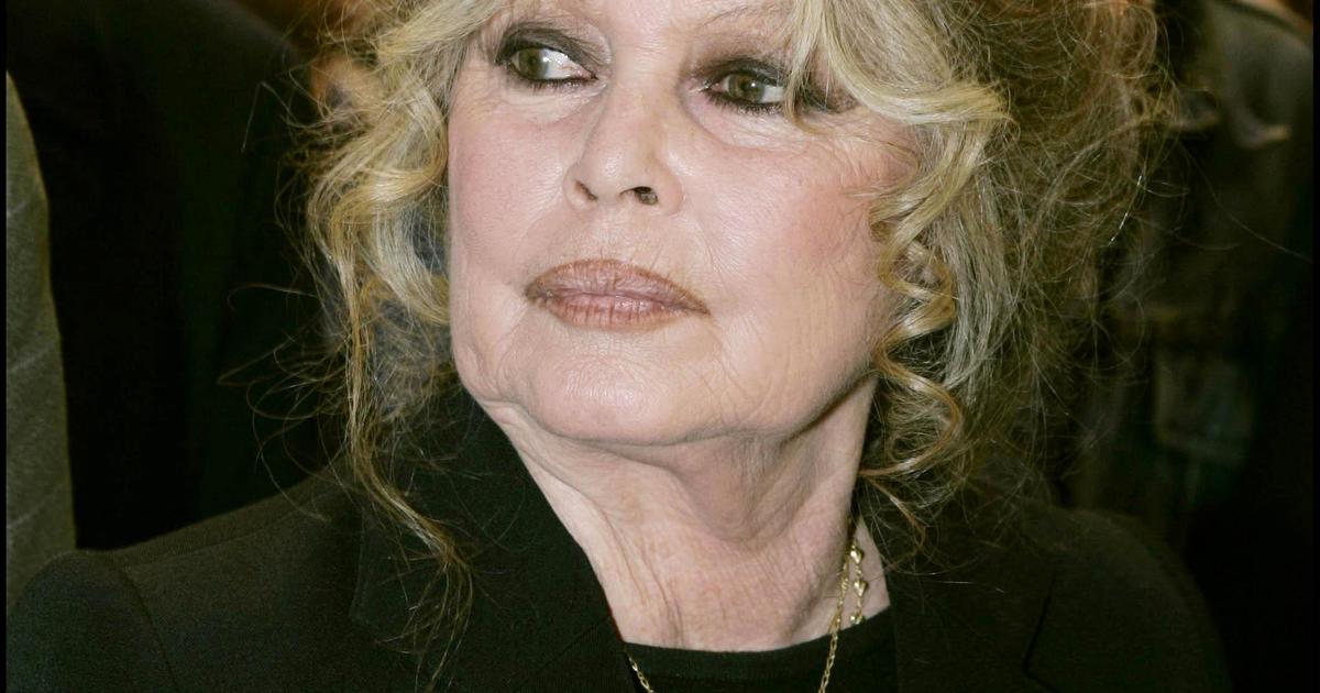 PHOTOS - Natalie Portman, Pamela Anderson, Julien Doré... Ces stars qui ...