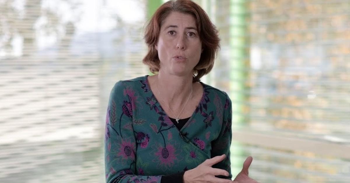 François Ruffin : sa sœur Laurence a été proche d’Emmanuel Macron ...