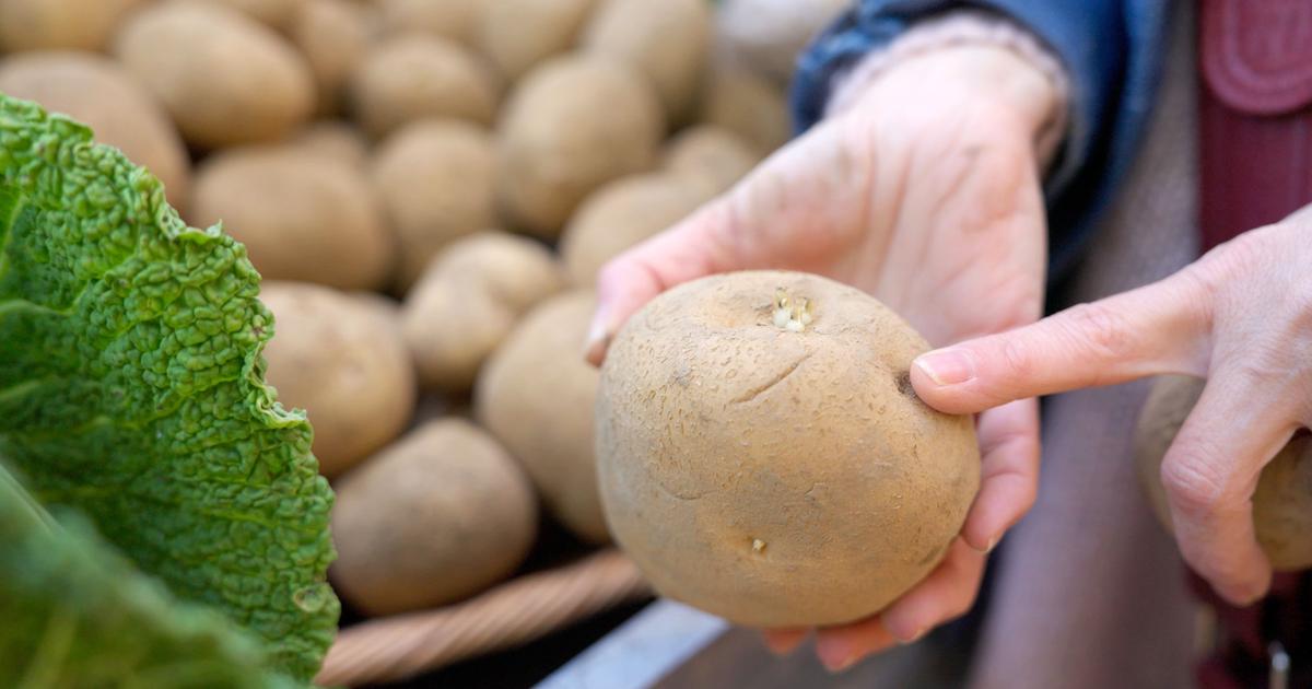 L’avenir de la patate en question sur France 5