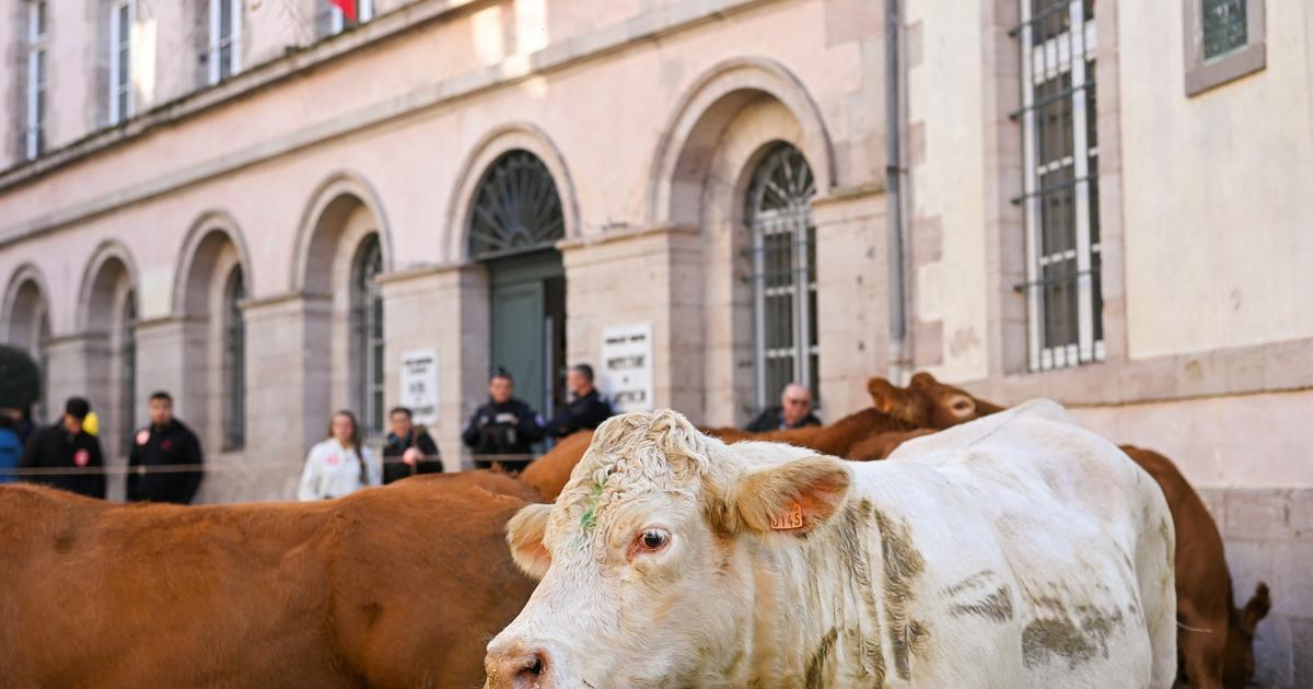 Colère des agriculteurs : plus d'une centaine de manifestants érigent ...