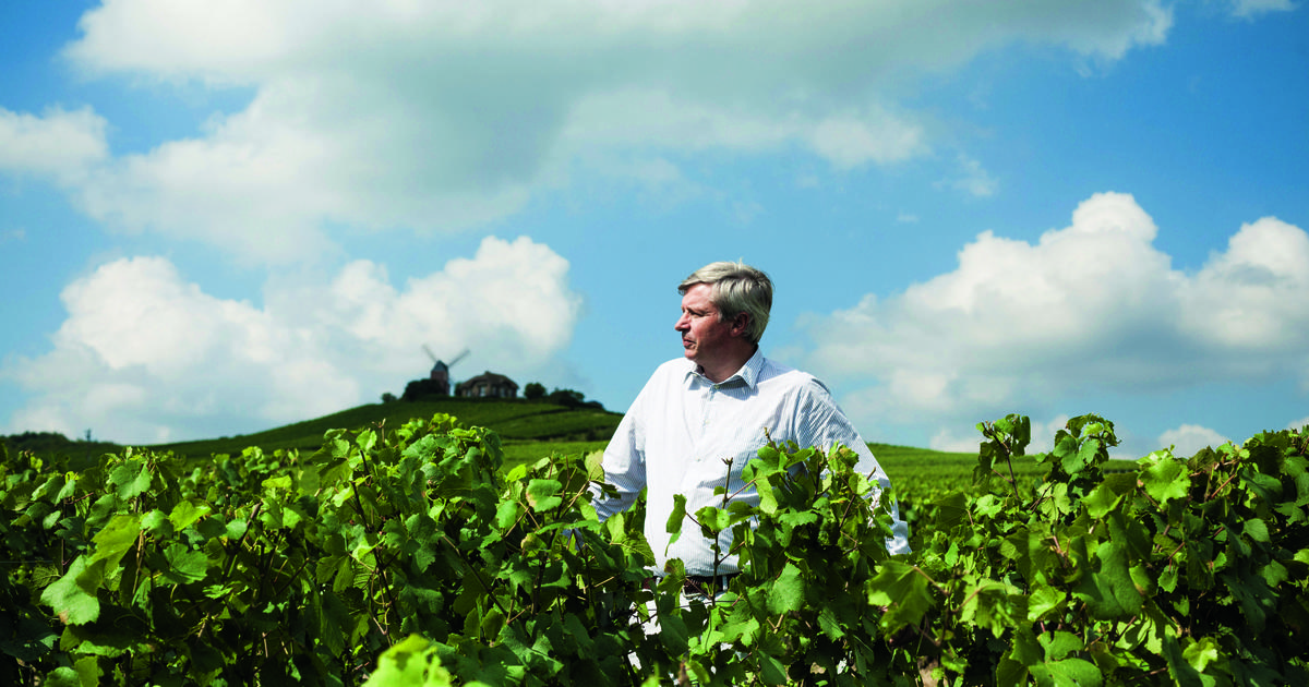 «Cristal, c’est d’abord un vin de sol» : Jean-Baptiste Lecaillon, chef ...