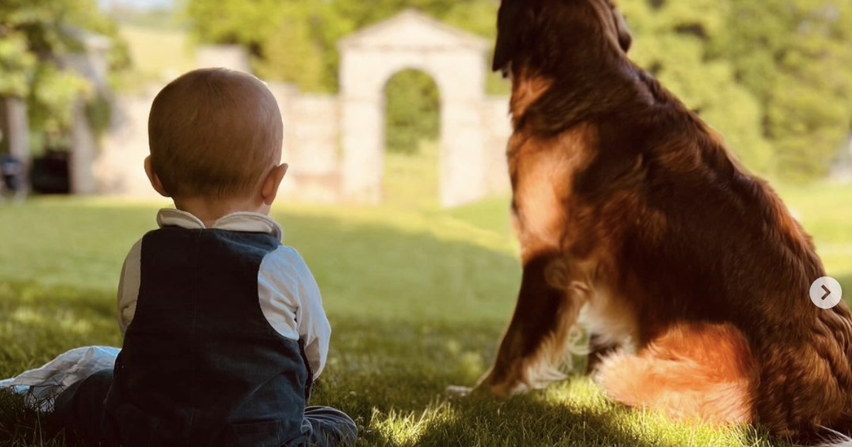 PHOTOS - Georges, Charlotte et Louis : découvrez leurs cousins et ...