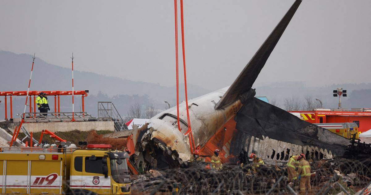 Après le crash d’avion en Corée du Sud, les 101 Boeing 737-800 des ...