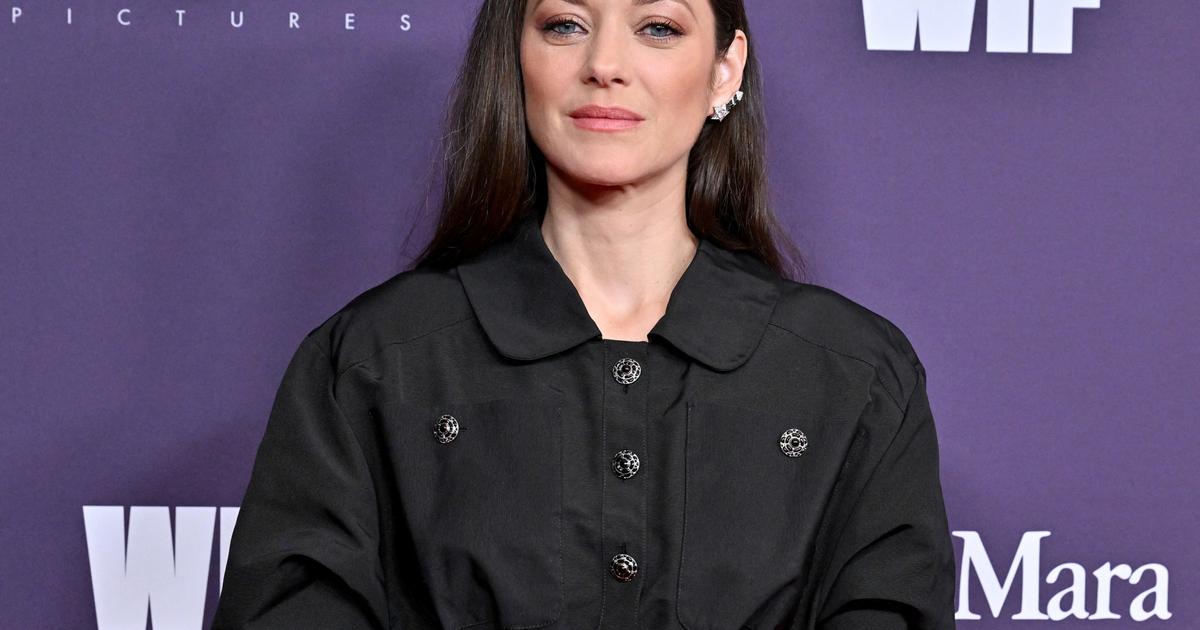 PHOTOS - Angelina Jolie, Marion Cotillard, Bradley Cooper... Ils ...