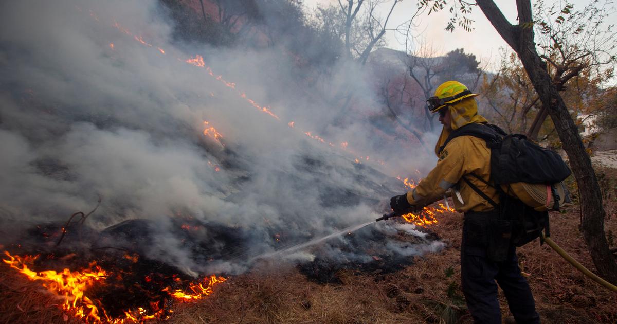 Incendies à Los Angeles : Zelensky propose l'envoi de pompiers ukrainiens