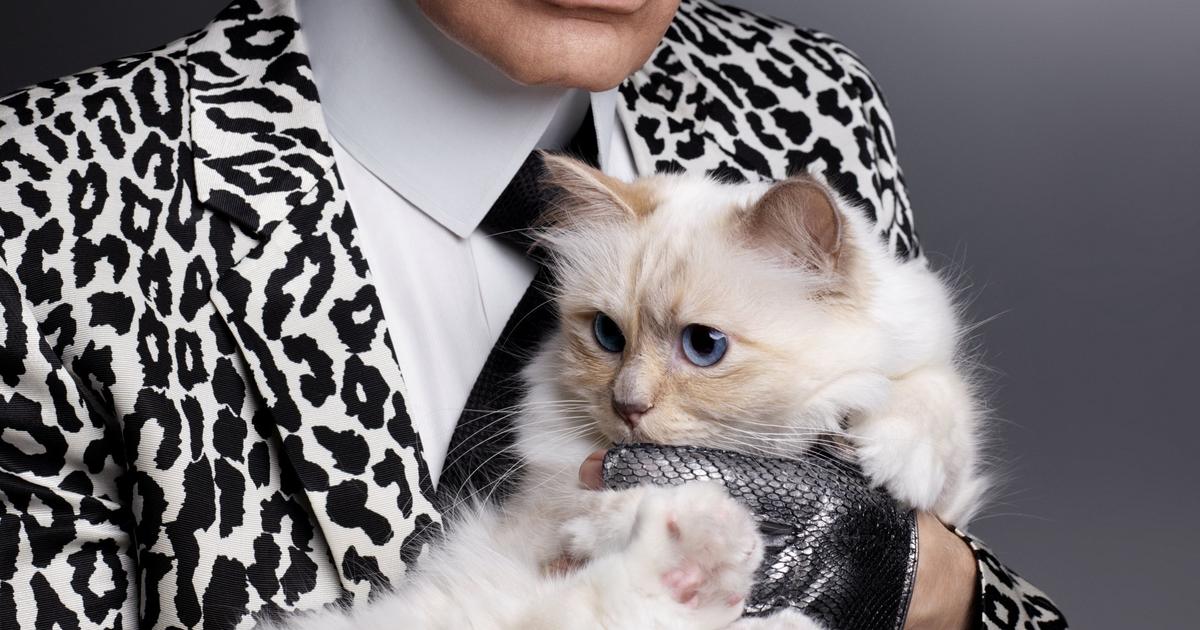 Que devient Choupette Lagerfeld