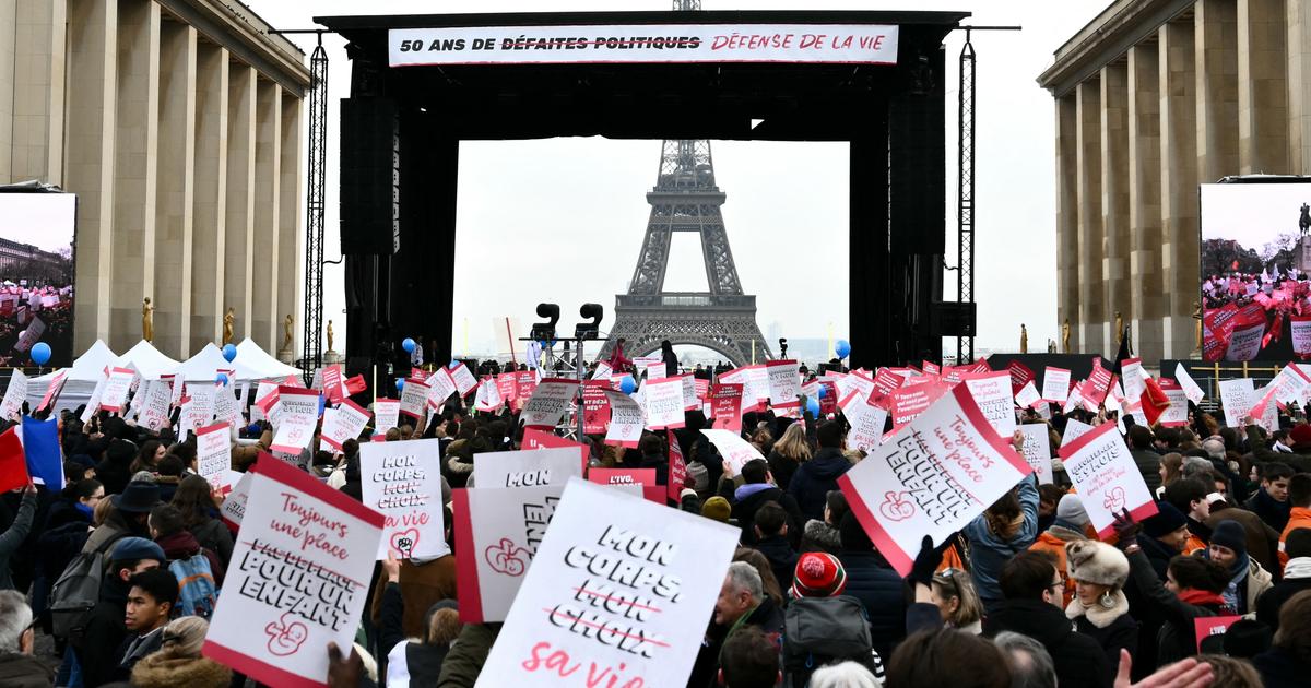 50 ans de la loi Veil : les opposants à l'IVG réunis à Paris lors d’une ...