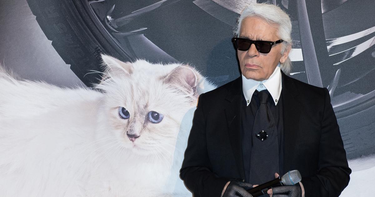 Karl Lagerfeld : soirées avec des stars, icône d’Instagram… 6 ans après ...