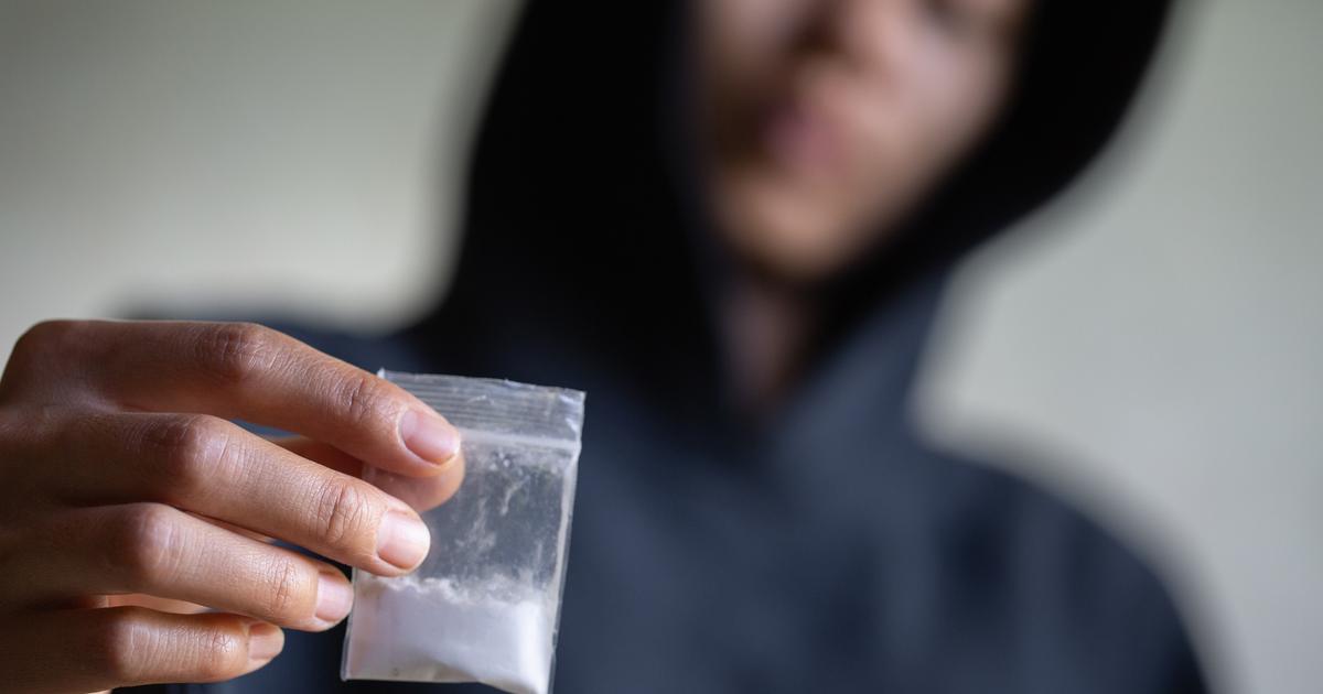 Trafic de drogue : 53,5 tonnes de cocaïne saisies en 2024, plus du ...