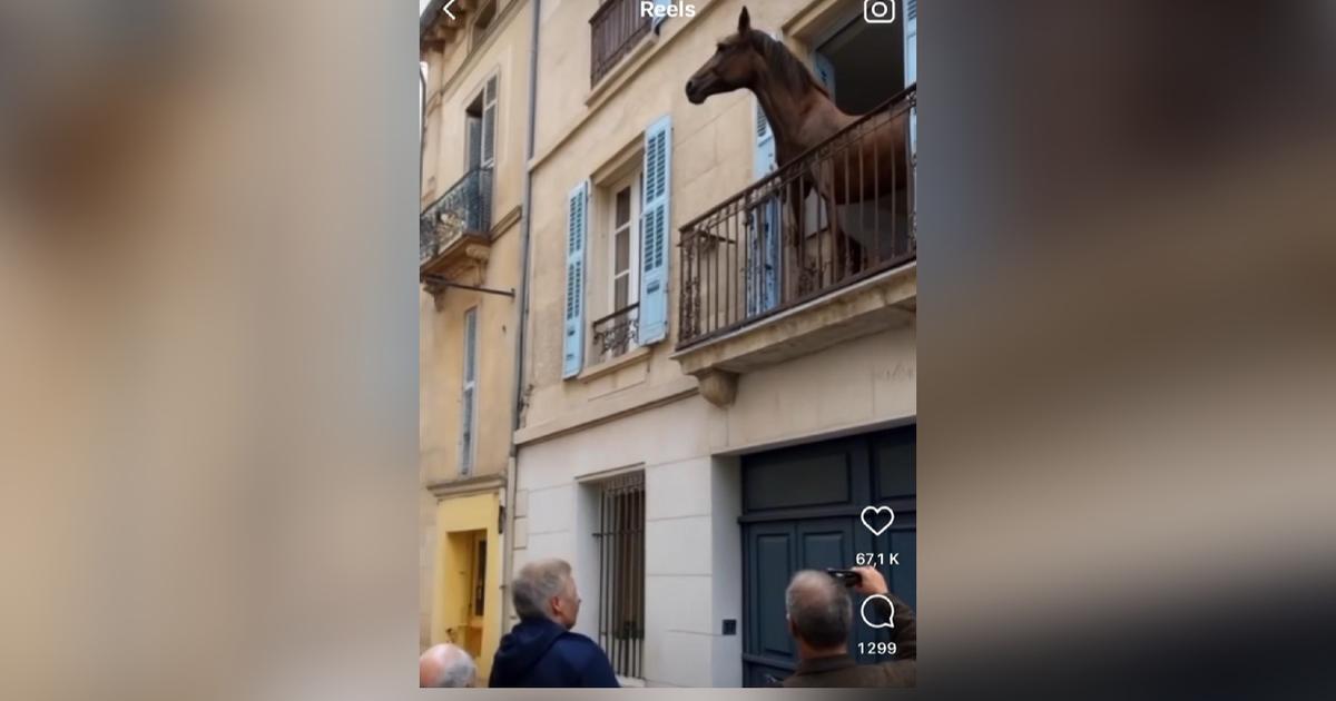 Marseille : un cheval s’est-il retrouvé coincé sur un balcon