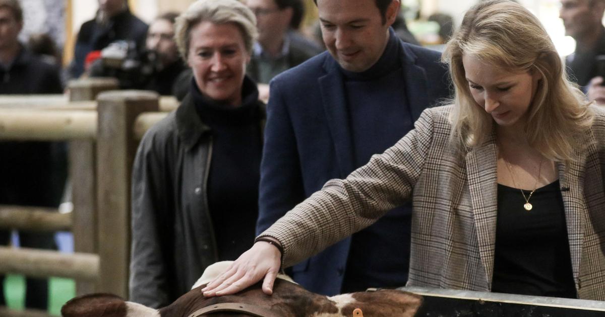 PHOTOS - Salon de l’agriculture : Emmanuel Macron, Marion Maréchal ...