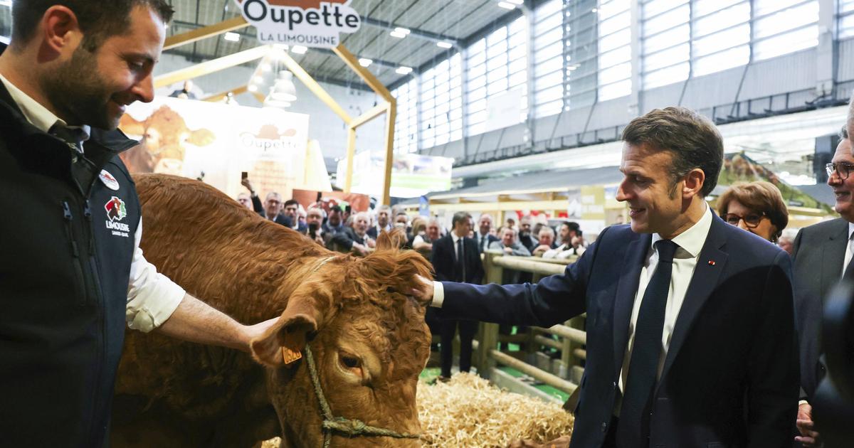 PHOTOS - Salon de l’agriculture : Emmanuel Macron, Marion Maréchal ...