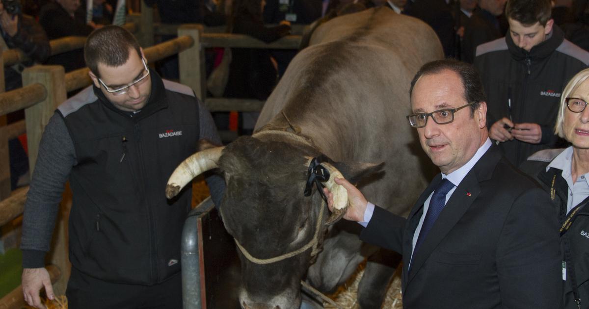 PHOTOS - Salon de l’agriculture : Emmanuel Macron, Marion Maréchal ...