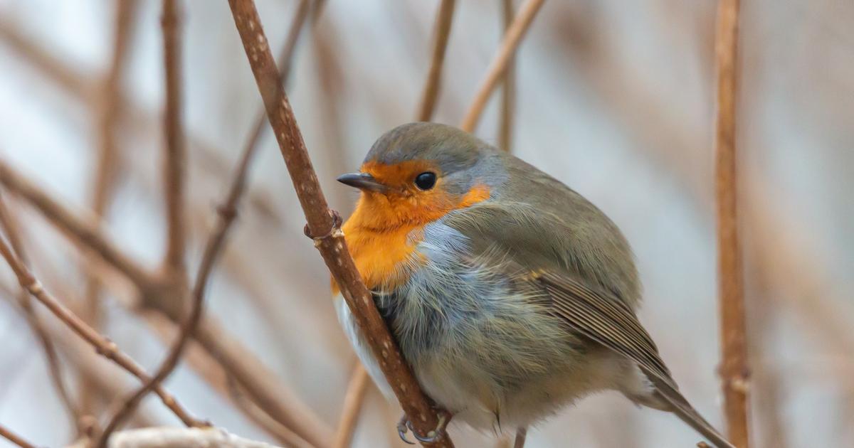 Var : un retraité condamné en appel à 30.000€ d’amende pour avoir ...