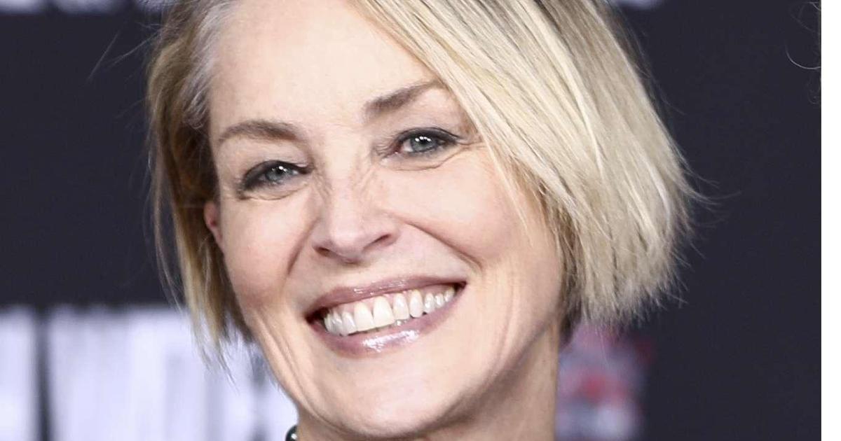PHOTOS - Sharon Stone, son incroyable évolution de coupe de cheveux