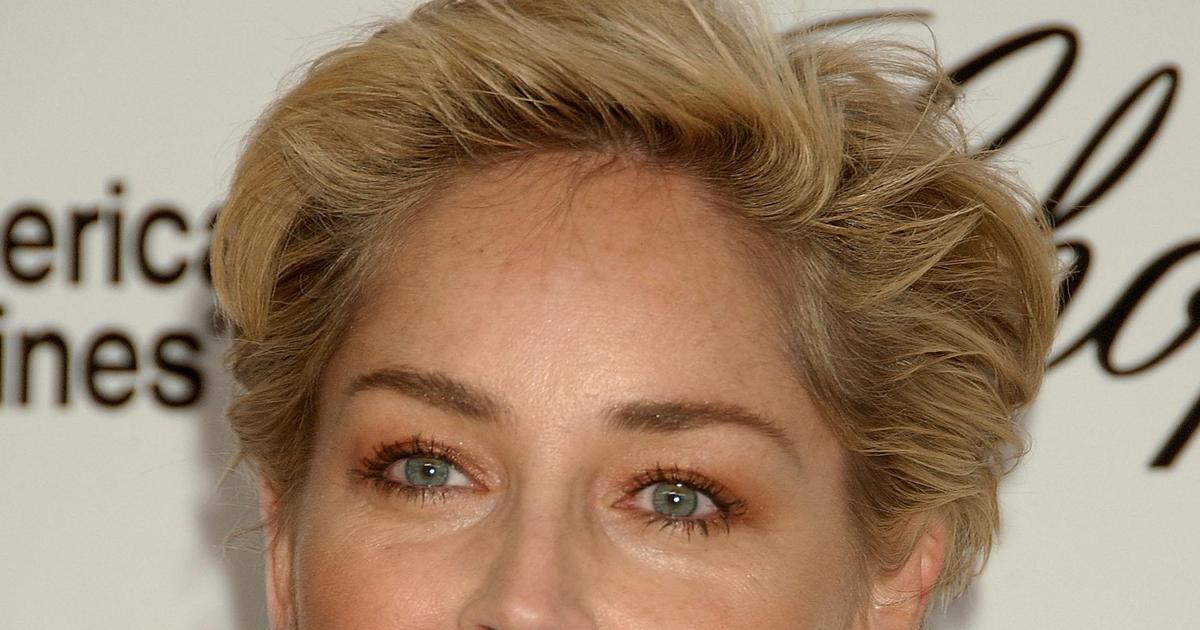 PHOTOS - Sharon Stone, son incroyable évolution de coupe de cheveux