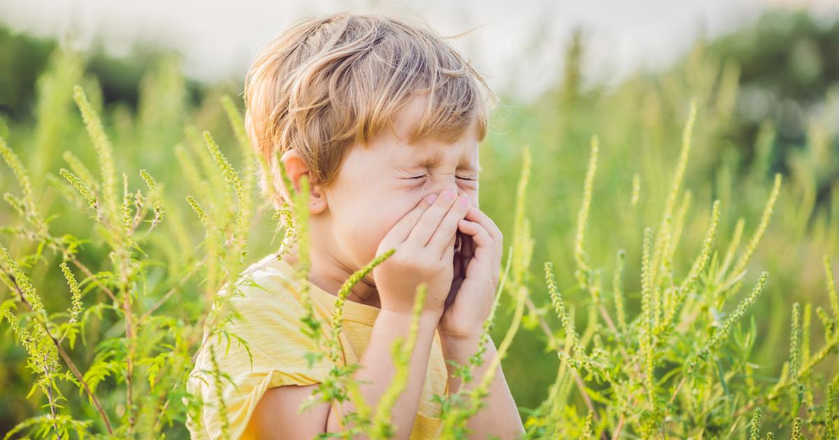 Pollens : pourquoi vous ne trouverez plus les cartes de risques ...