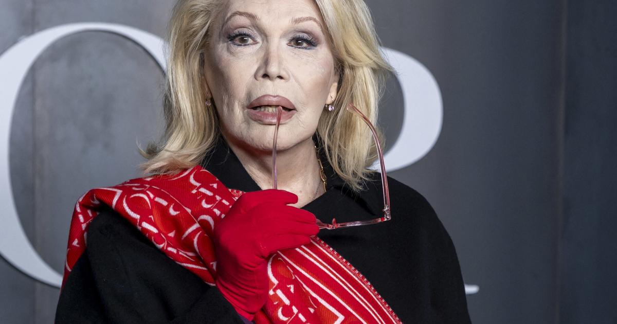 PHOTOS - Laurence Ferrari, Michel Drucker…Ces stars qui possèdent une ...