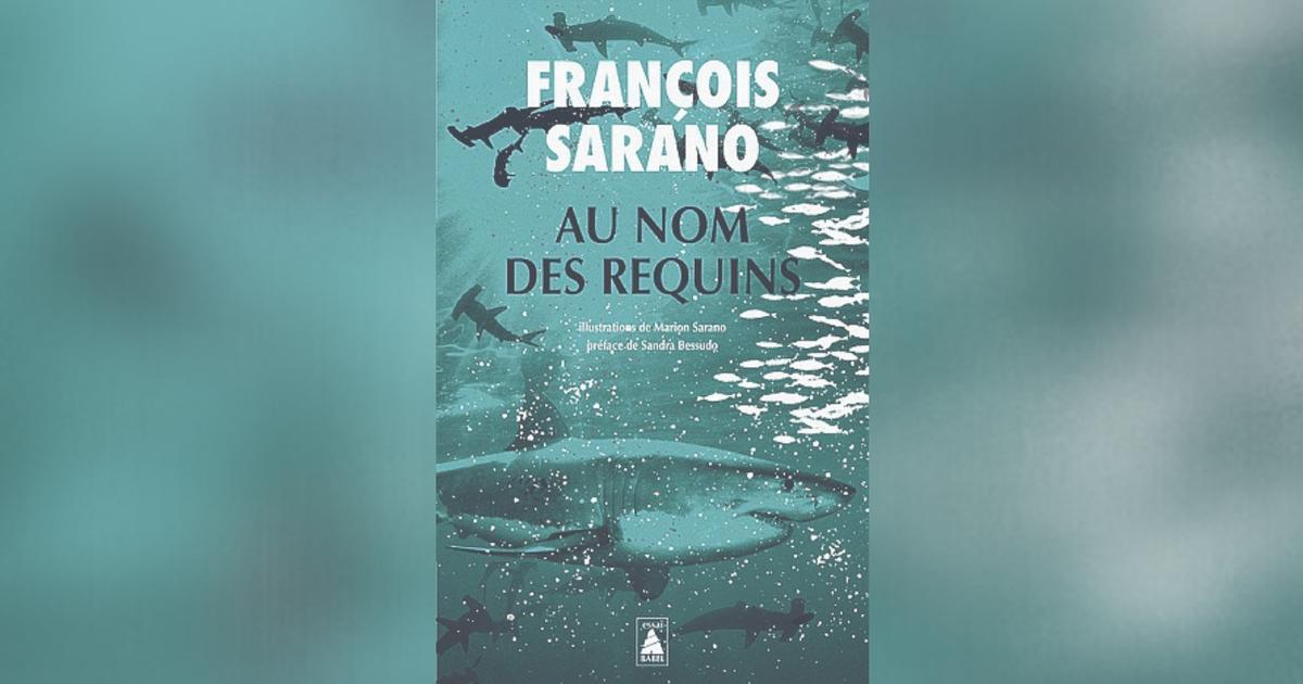 Dans Au nom des requins, François Sarano prend la défense des squales