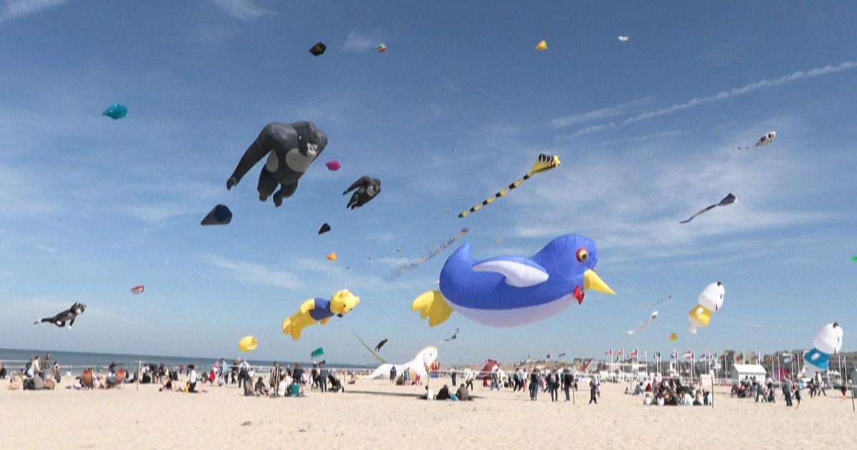 Pas-de-Calais : les images féeriques de centaines de cerfs-volants sur ...